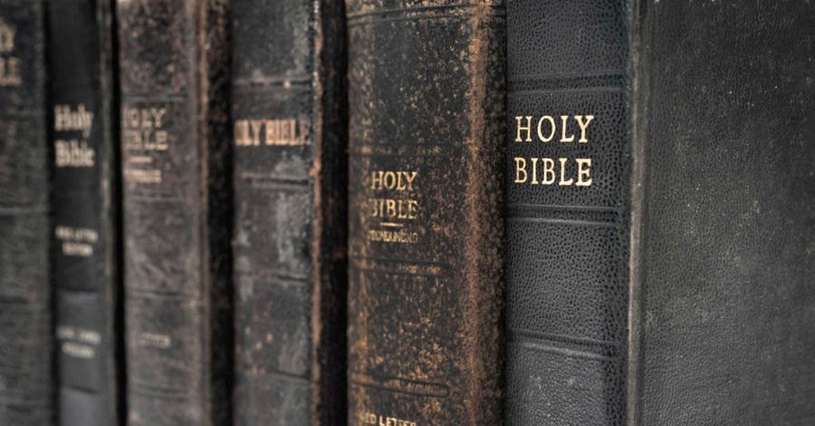 Deep Immersion in the Bible | Reading the Bible in 45 Days